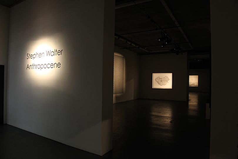 Stephen Walter: Anthropocene | TAG Fine Arts | TAG Fine Arts