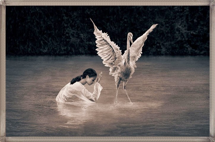 Ostáriz Art Gallery: Gregory Colbert