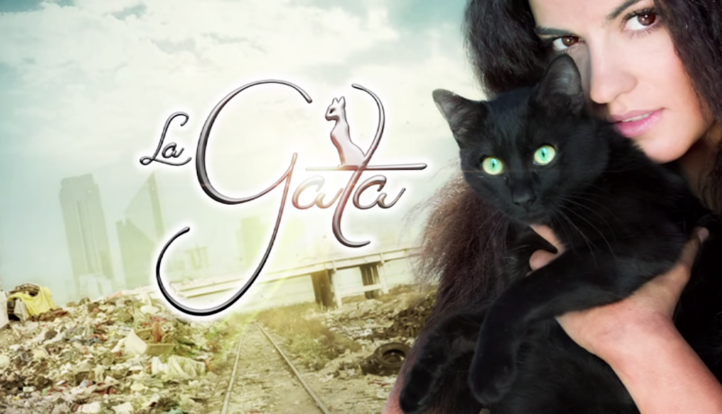 Assista ao Novo Trailer de La gata ~ Blog Alejandra Almonte