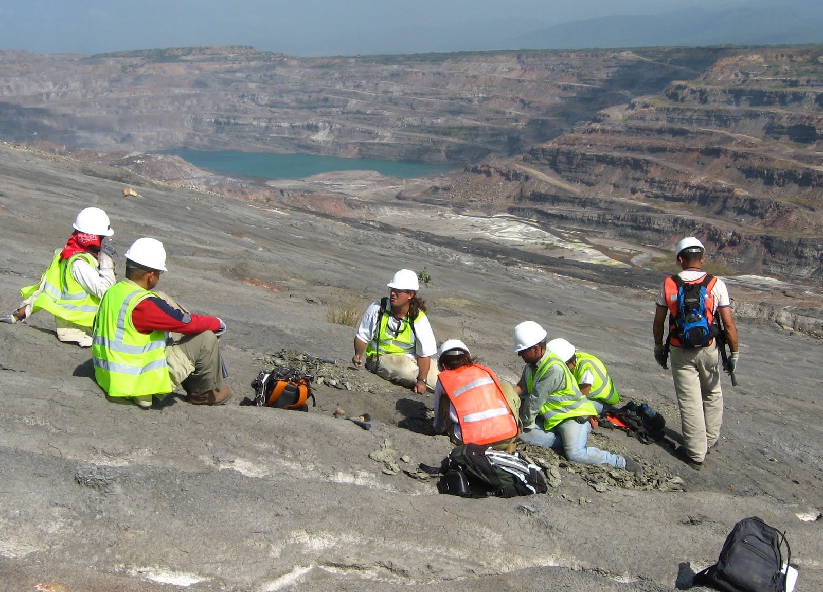 Paleontología en Colombia: El Cerrrejón, un bosque tropical de hace 60 ...