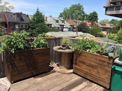 Urban Planter Boxes