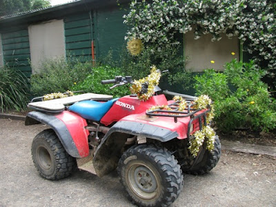 Green Gourmet Giraffe: CC Chesterfield Farm and Smoky Red Pepper Hummus