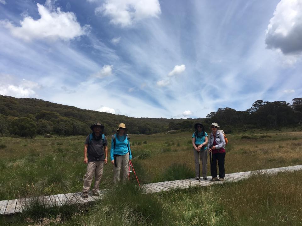 walkabouters club of victoria inc: The Montane Track and Precipice Plain