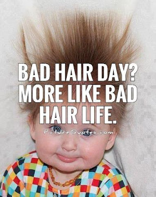 Thewonderofhair: FUNNY HAIR QUOTATIONS