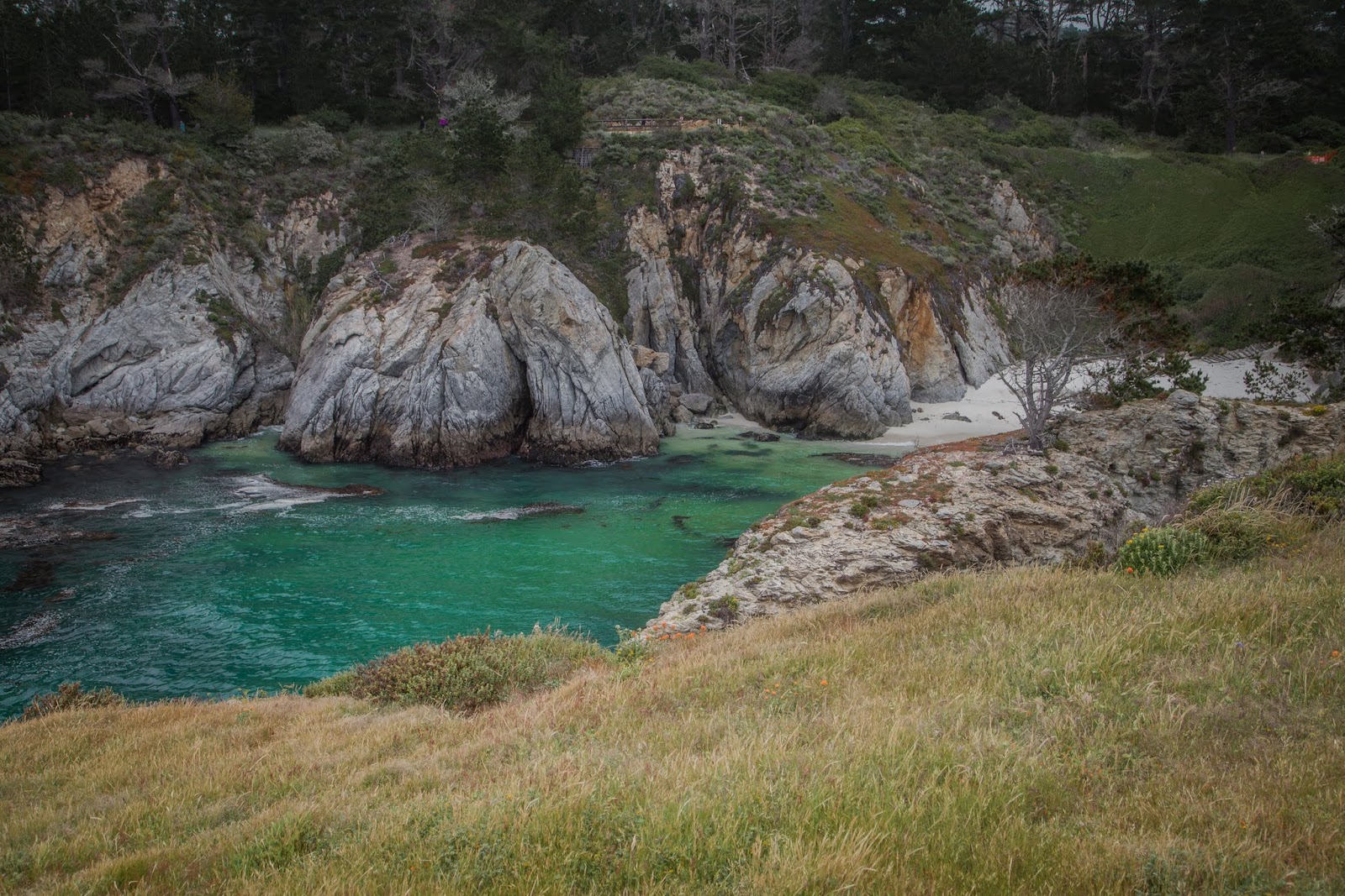 Point Lobos - Crown Jewel of the California State Parks - Explore the ...