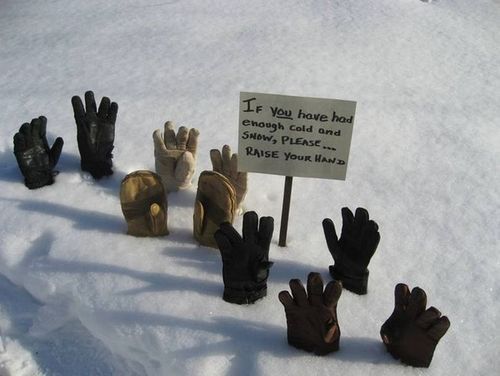 If You Have Had Enough Cold And Snow, Please Raise Your Hand | Funpicc