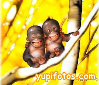 No sabemos ni que hacemos: Changuitos