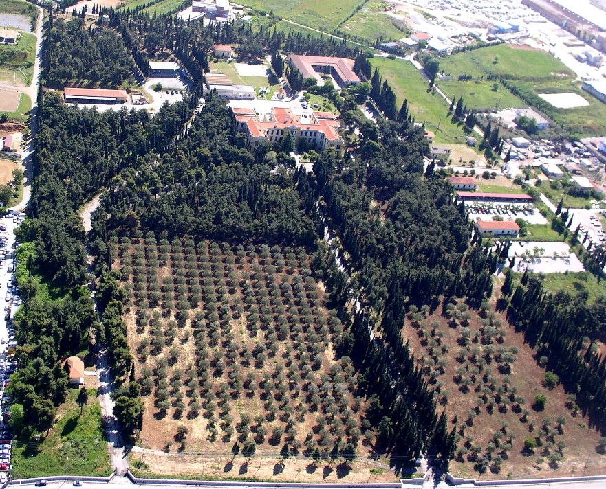 *Δόκιμοι Έφεδροι Αξιωματικοί-www.efedros.blogspot.com-Δ.Ε.Α*: ΤΟ ΚΤΙΡΙΟ ...