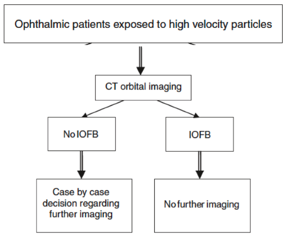 Doc Cottle's Desk: Intraocular foreign bodies