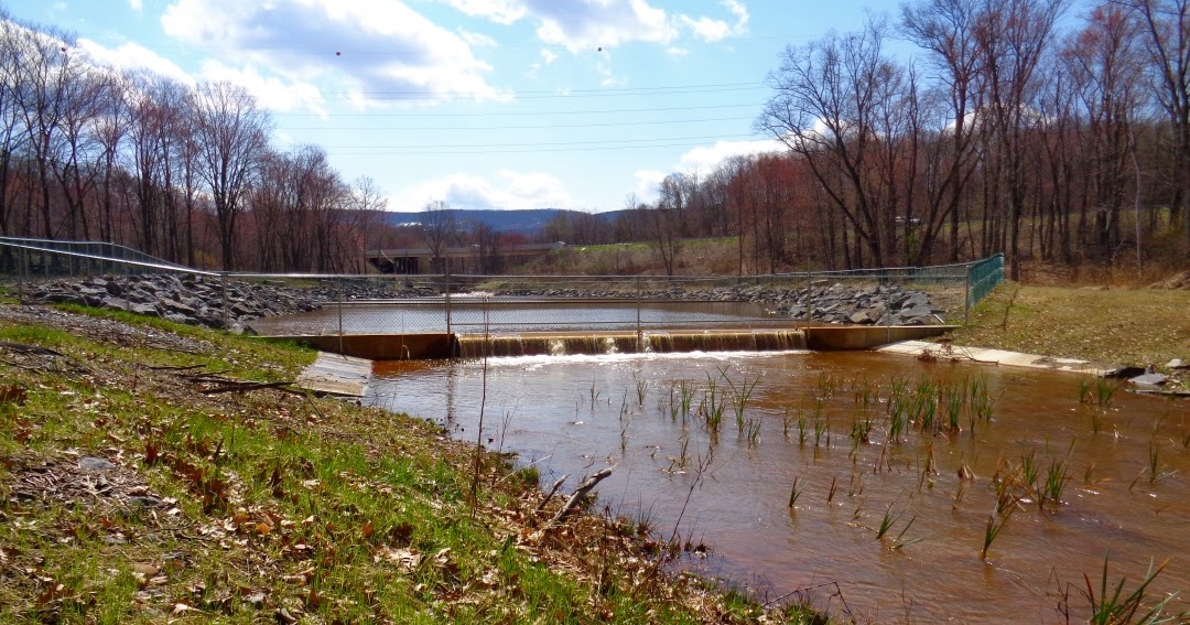 PA Environment Digest Blog: Apply Now For ARIPPA Mine Reclamation Mini ...
