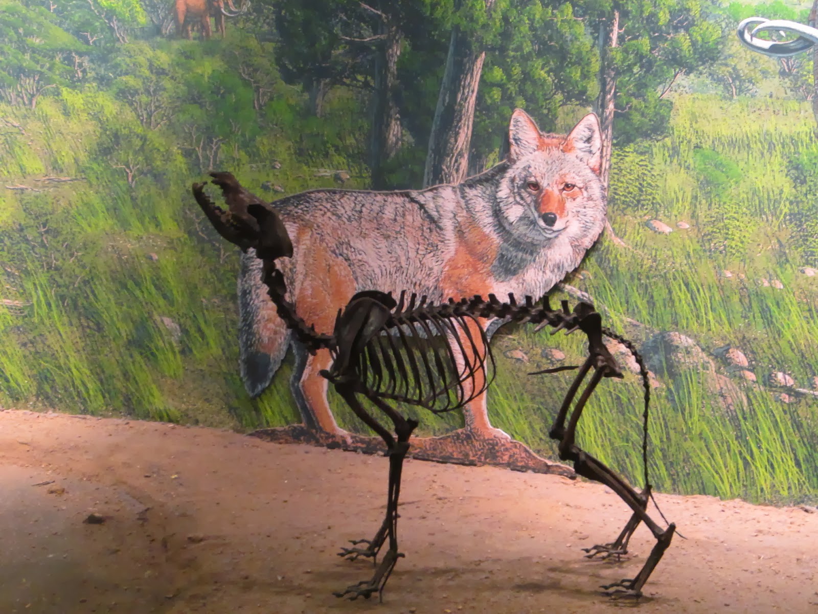 Hasty Pics: A Cherokee Legend – Two Wolves