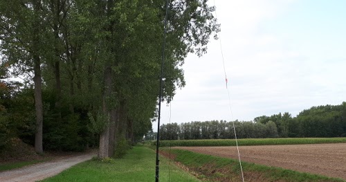 ONFF Blog: ONFF-0253 Bos van AA