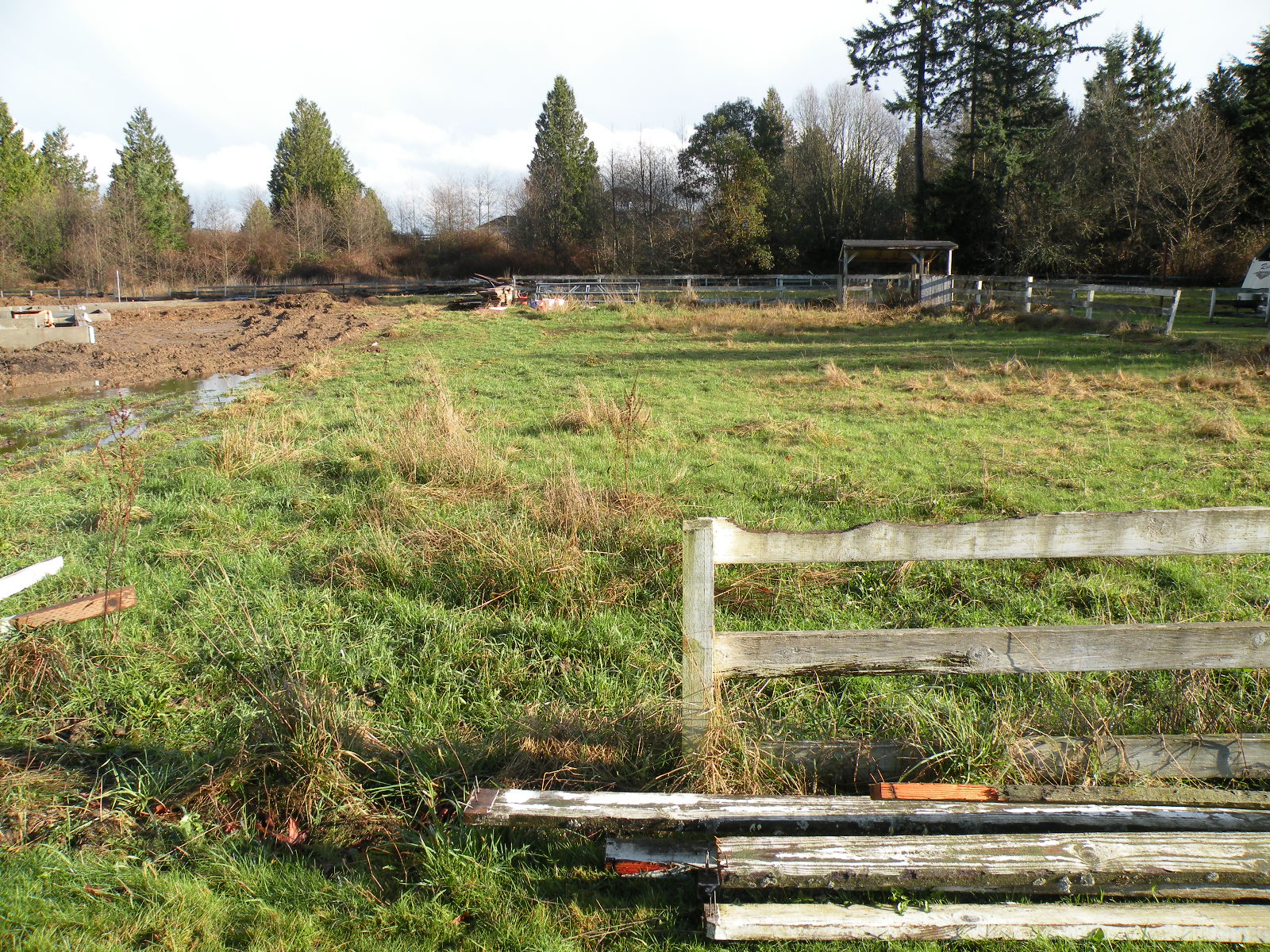 Bufflehead Pond - Life on the farm: Water Water Everywhere