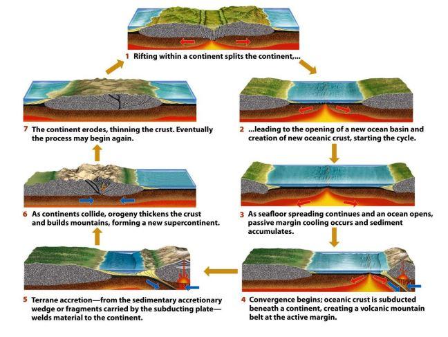 Ciencias Naturales: septiembre 2017