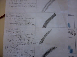 BGoffForensics: Forensic Science Part II: Hair/Fiber Analysis