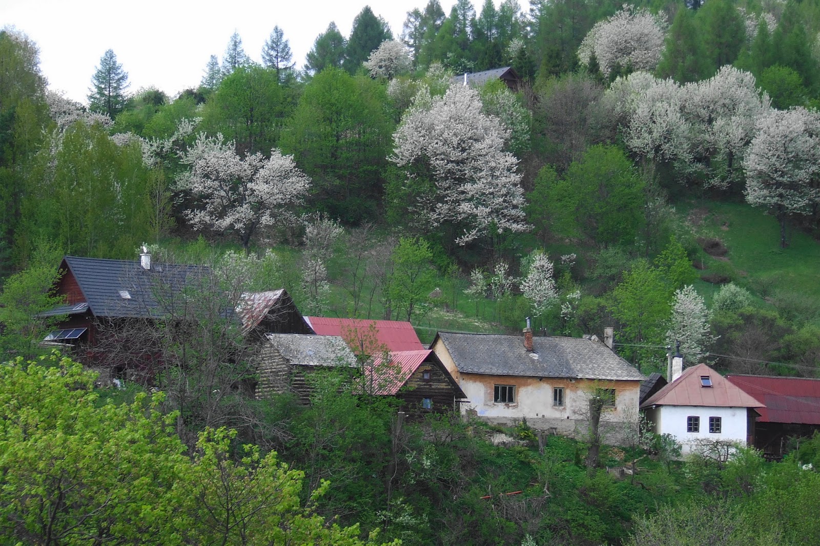 Vom "Wilden Feld" (UA) nach Cassovia (SK), in die rumänische Bukowina ...