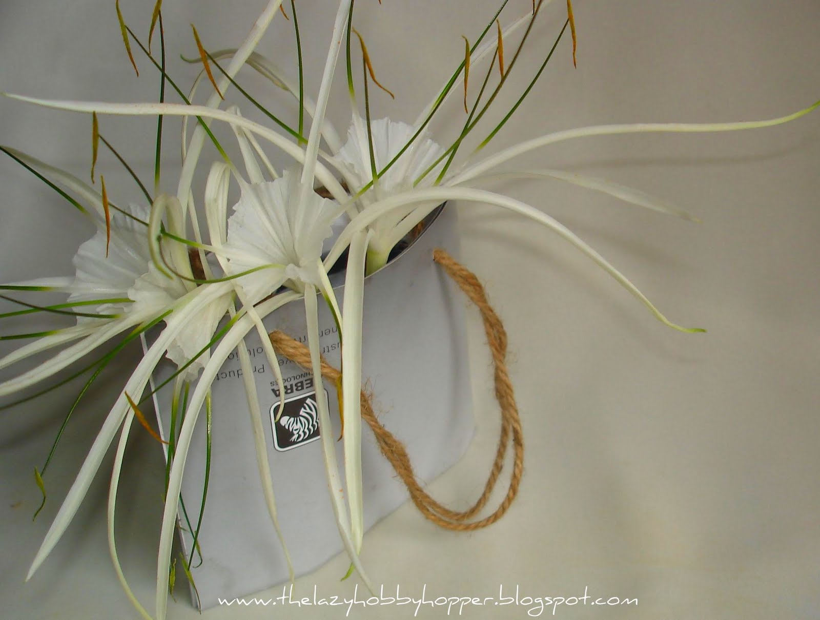 The Lazy Hobbyhopper: Paper bag in a jifty