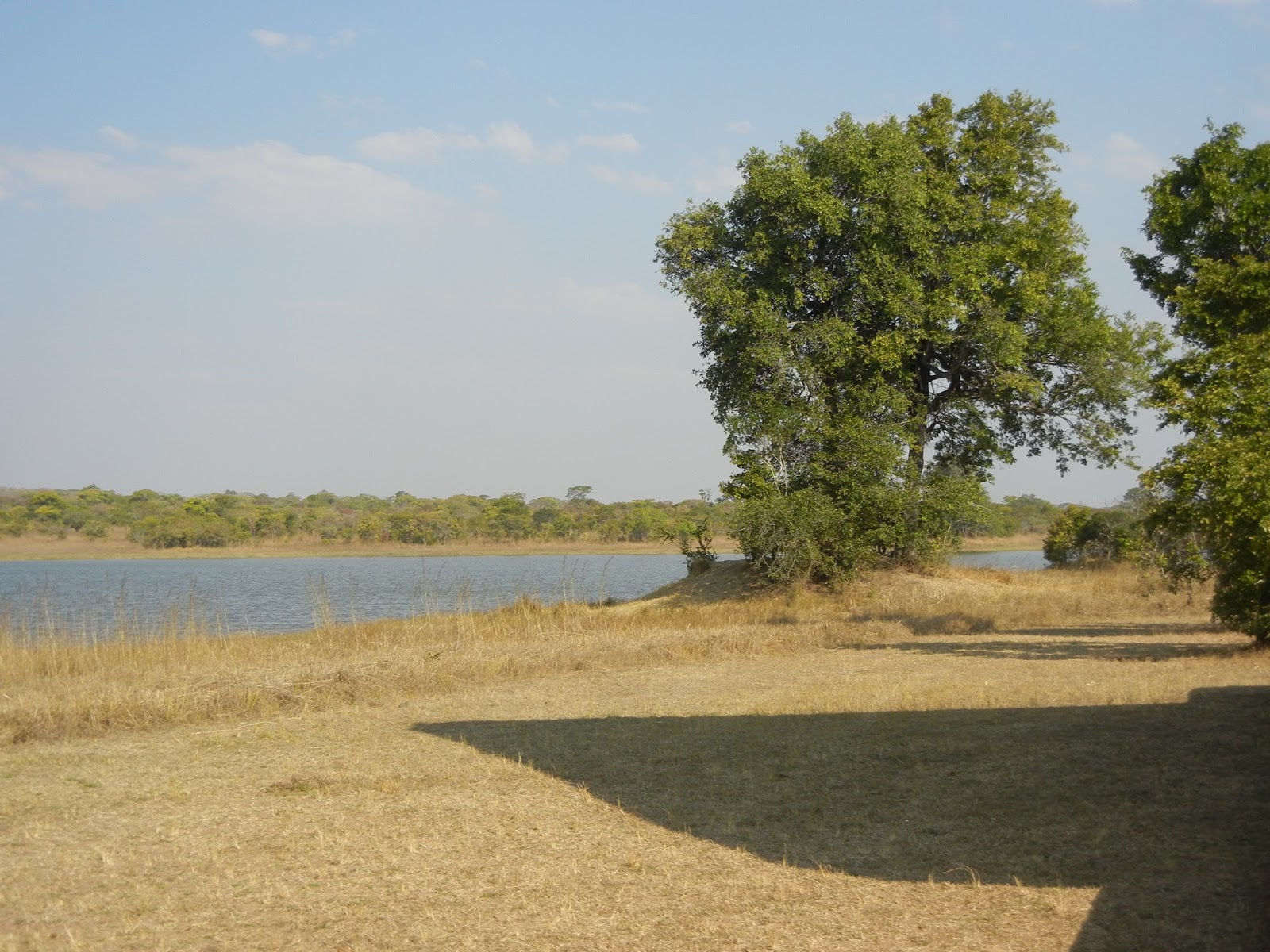 Leo in Malawi: Kasungu National Park - Surrounding
