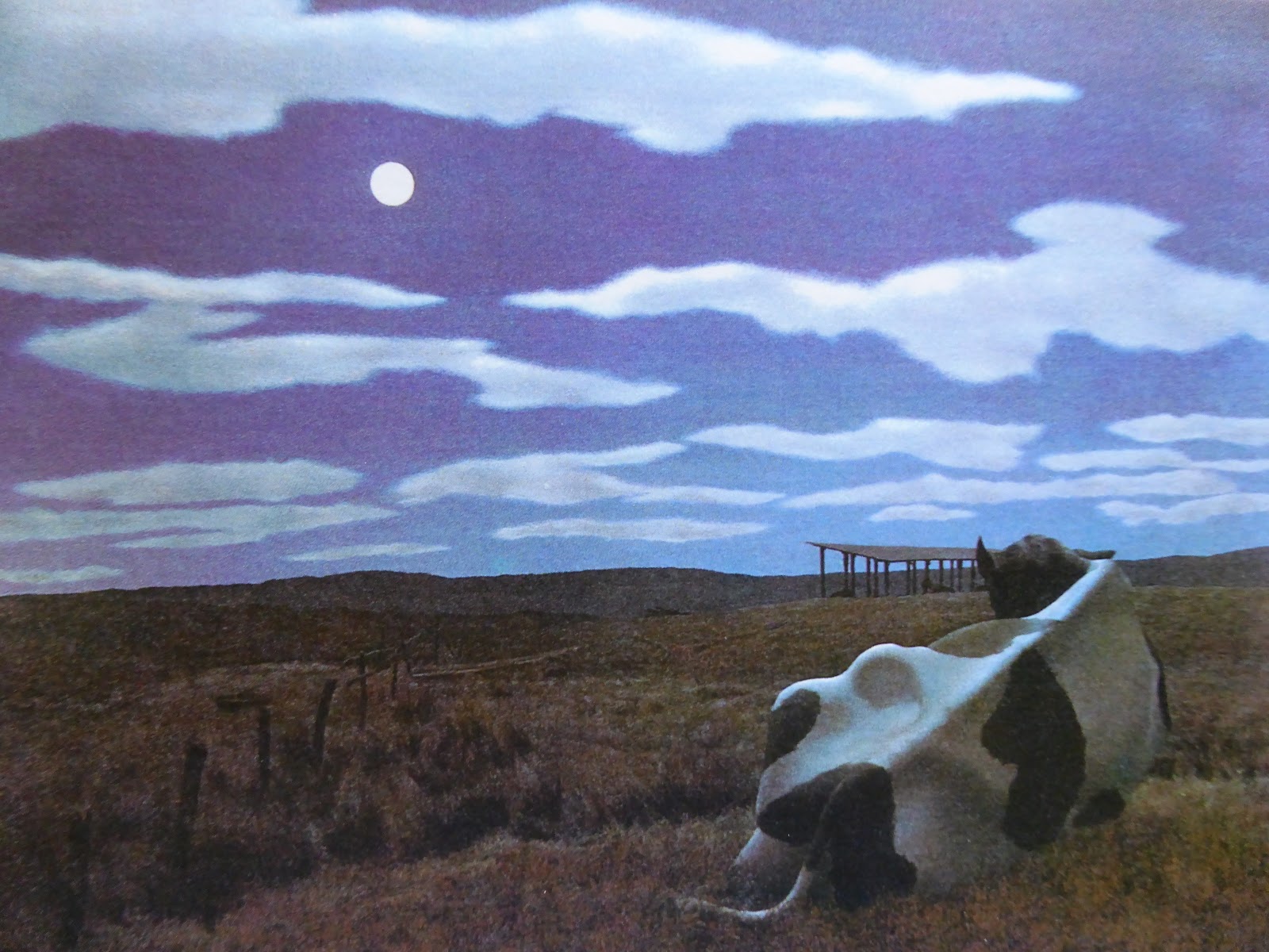 Lynda by the river: Weekend Words