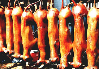 Dog Meat - Chinese Dog Market