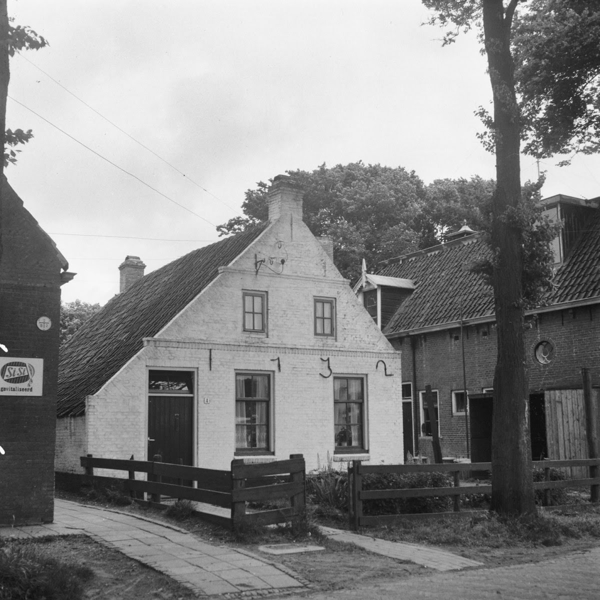Hermans Ameland: 122 Bar Amigo Nes Ameland