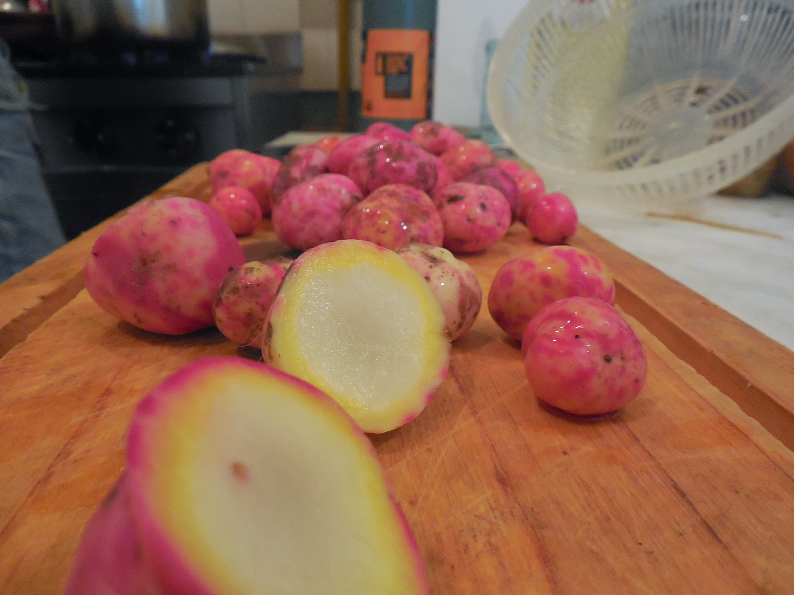 -: Papines andinos a la provenzal