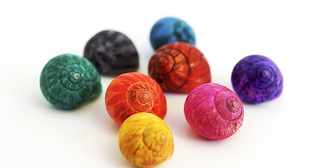 Colorful snail shells - Journey into Creativity