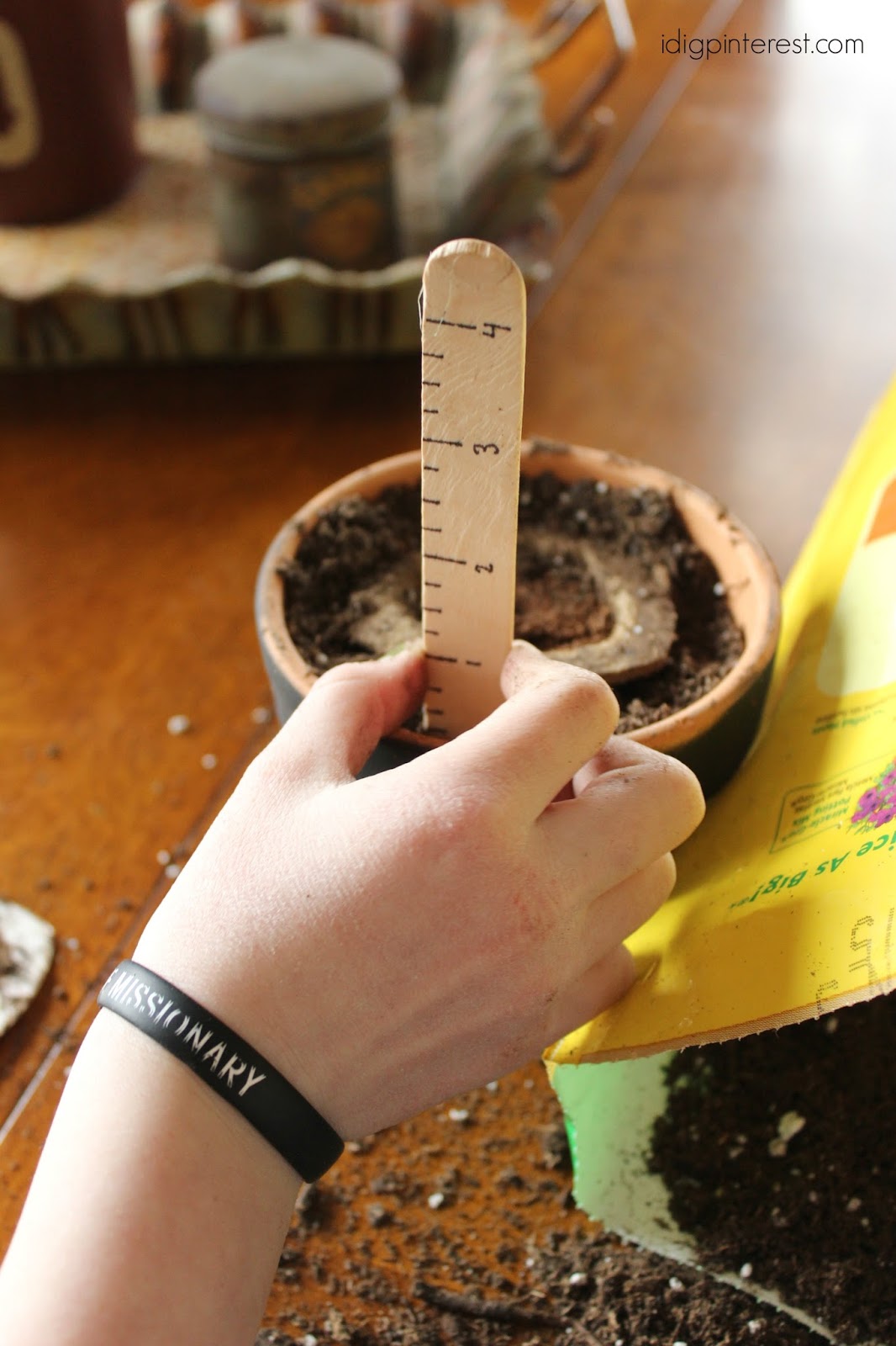 How to Get Kids Excited About Gardening - I Dig Pinterest