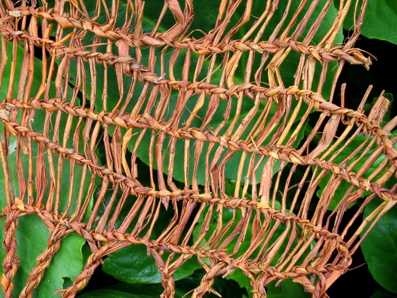 TUHATPAJU THOUSANDWILLOW: Burkinaa, Burkina weave