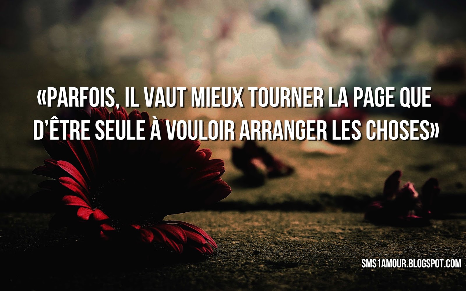 texte d'amour ~ message d'amour : Messages et SMS d'amour