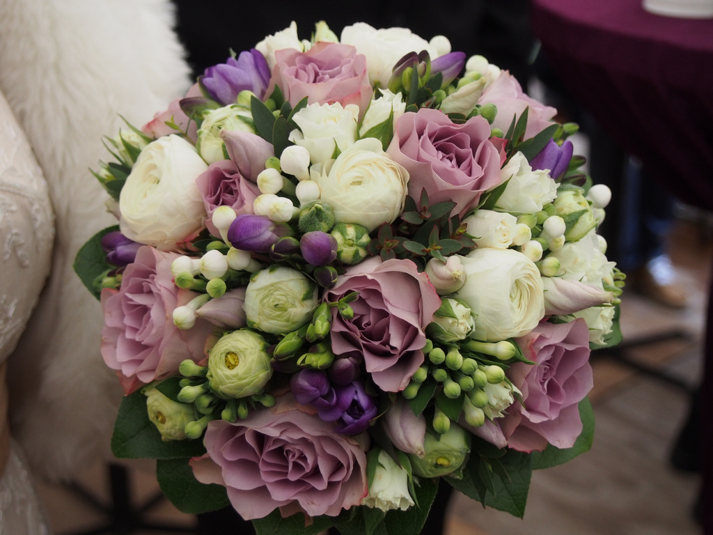 Høneballehaven på Samsø og Hellerupvej på Fyn: Hvor blev foråret af ...