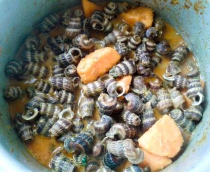 WARNA NOSTALGIA: Siput Belitung @ Siput Sedut