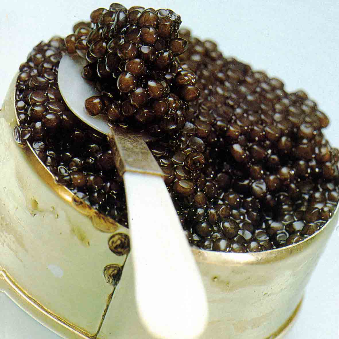 willy es la ley: Por qué está rico el caviar con chocolate