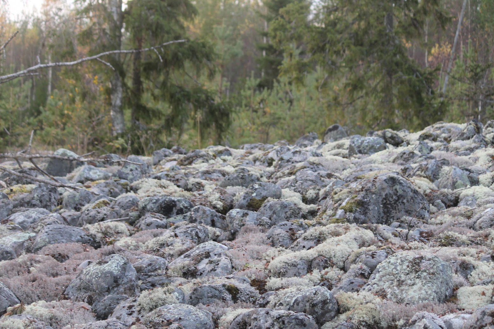 Kokkola Karleby Finland: Pirun perunamaa