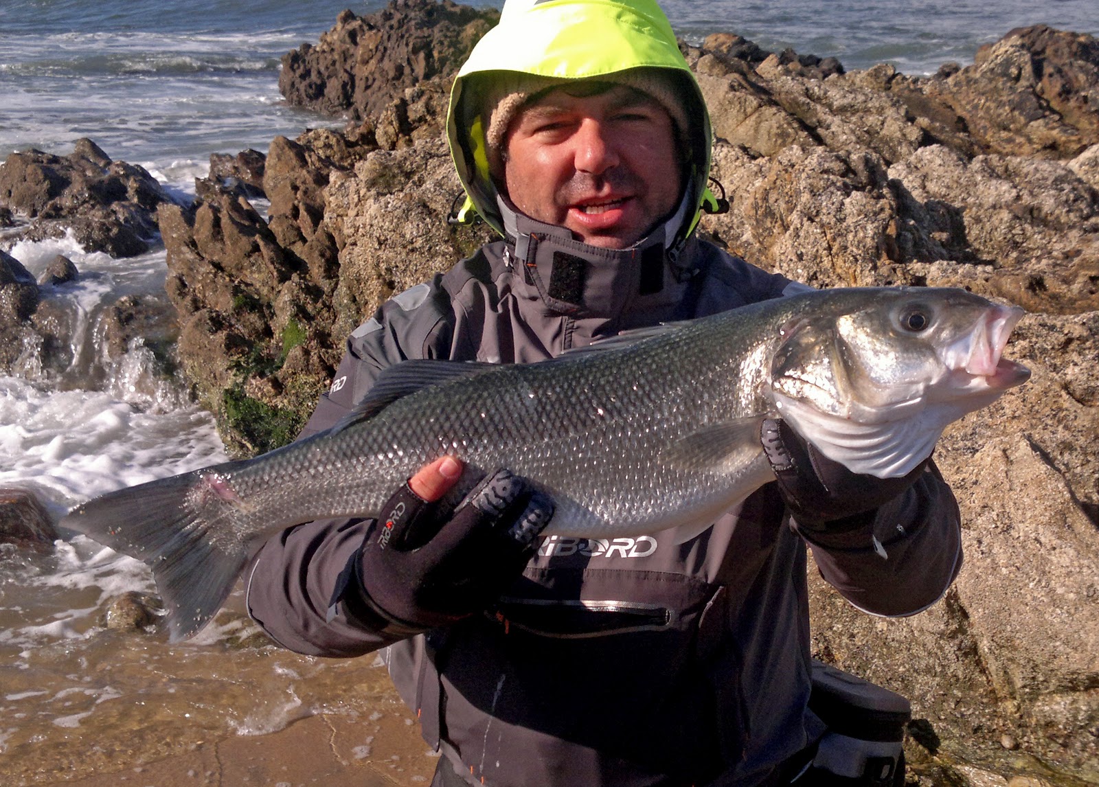 Predadores ao Spinning: Depois da tempestade vem ... o Robalo
