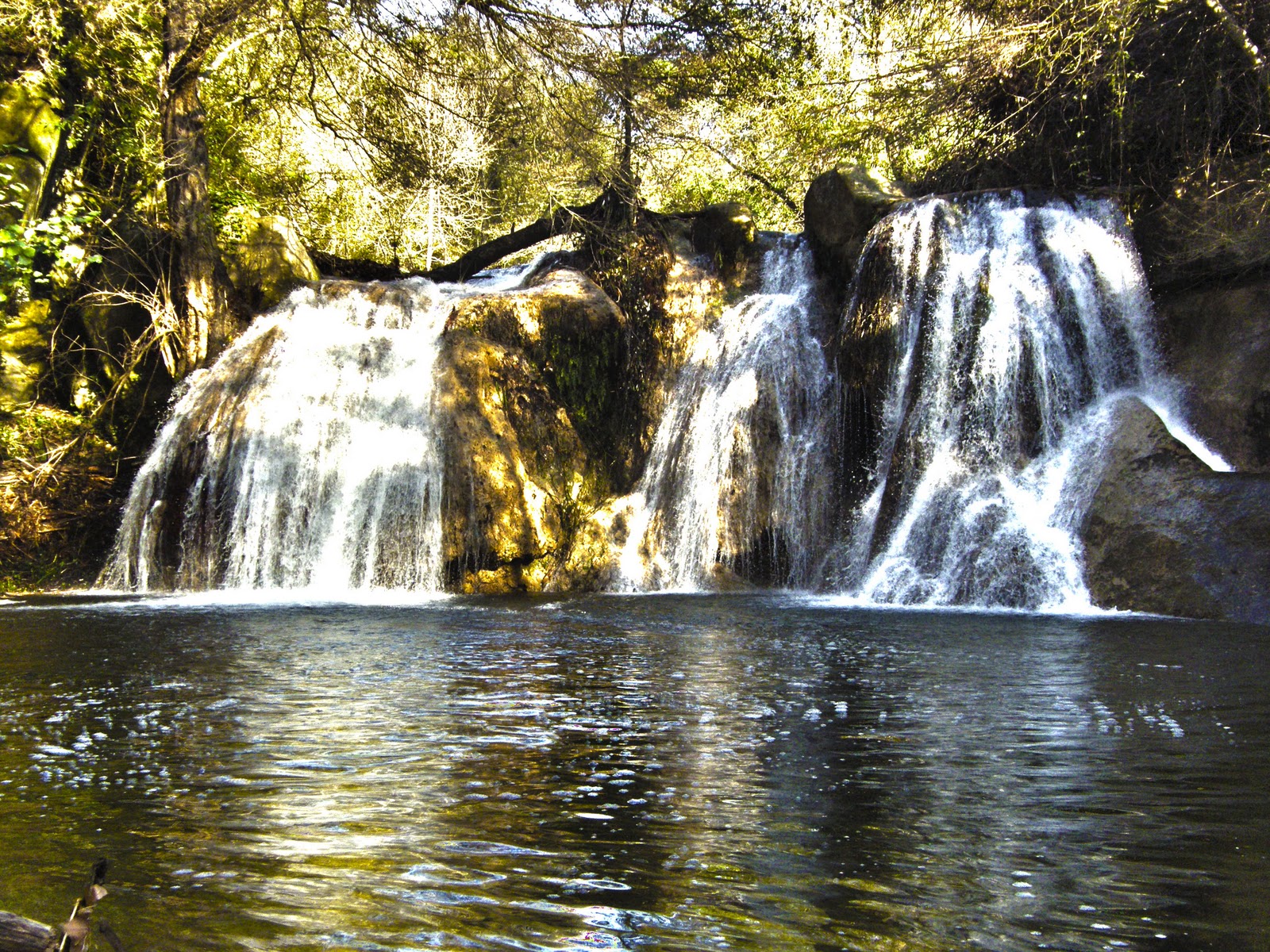 Lo que el ojo no ve.: Cascada