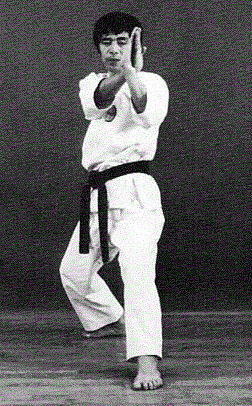 Itosu-kai España: Chinto