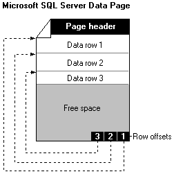 YOUR's SQL SERVER: ARCHITECTURE OF PAGE