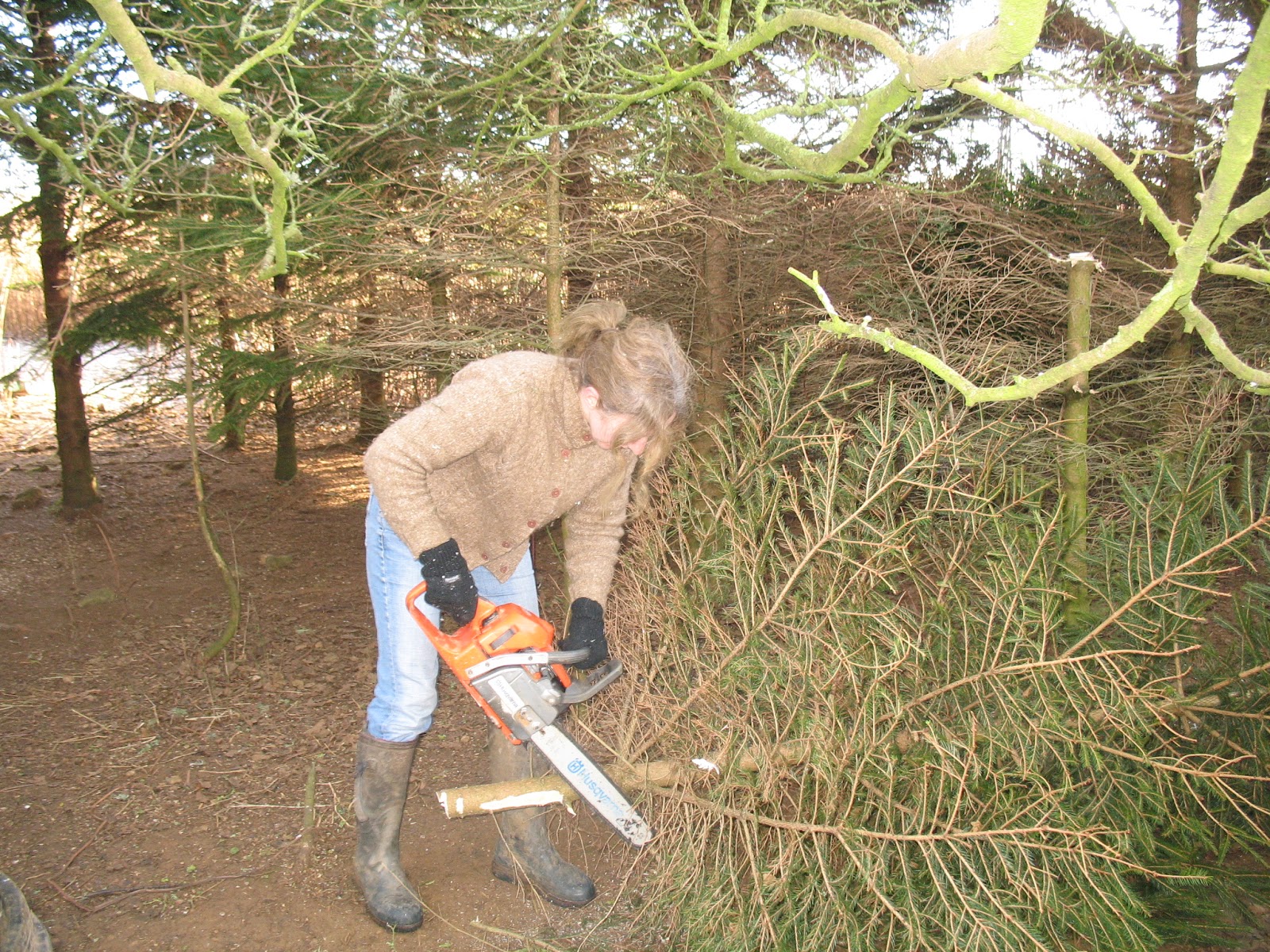 Milkweed & Teasel: Of Christmas trees and cobbling together