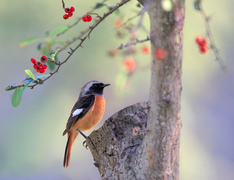 School Of Digital Photography: How To Take Sharp Pictures