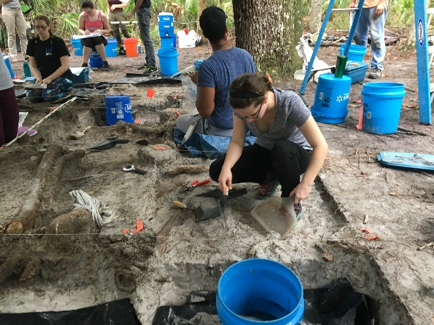 Meet our Summer Intern: Miranda