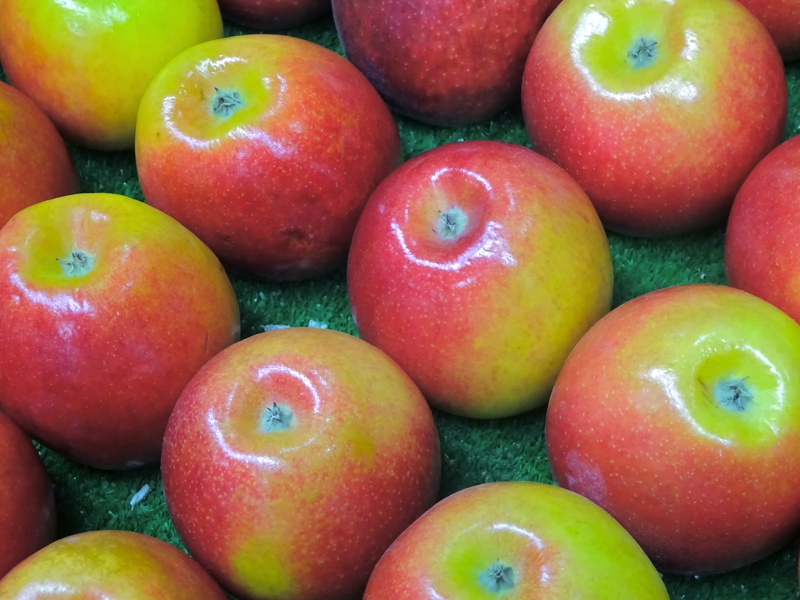 ESTAMOSTENDENCIADOS: ENTRE COL Y COL: los mejores tomates de Madrid