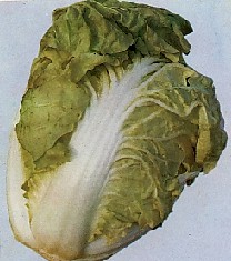 A Shade Of Modoinding: Mari Berkenalan Dengan Sayur Petsai