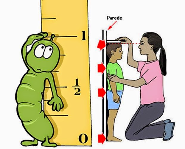 LA ANTROPOMETRIA: LA ANTROPOMETRIA