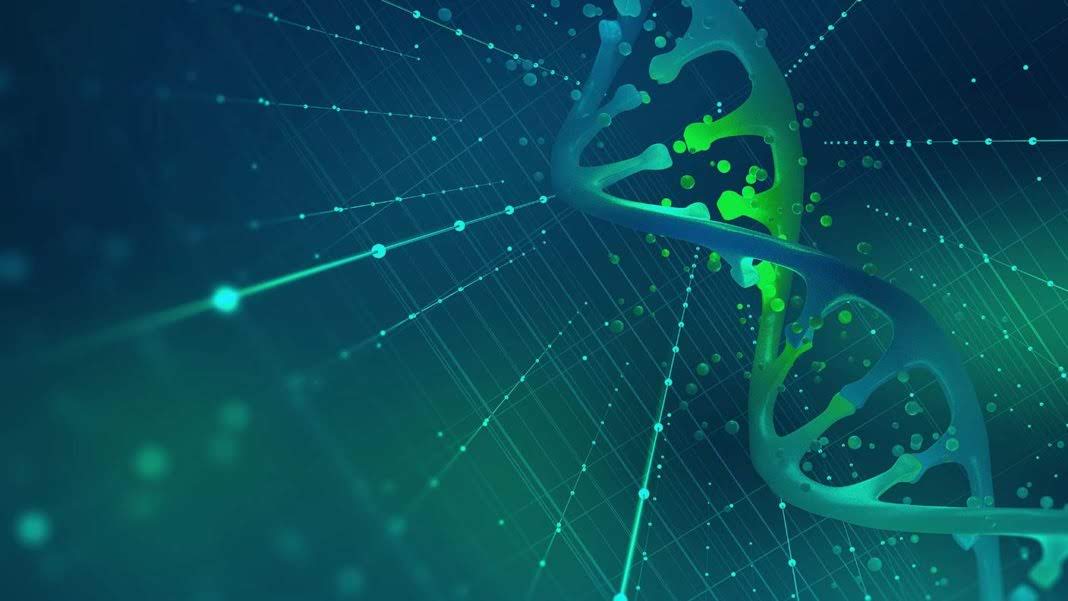 Hachimoji Dna