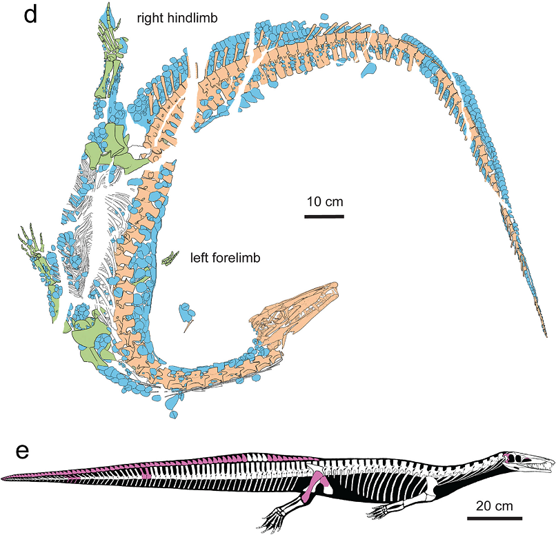 Waxing Paleontological: D&D Monsters of the Triassic