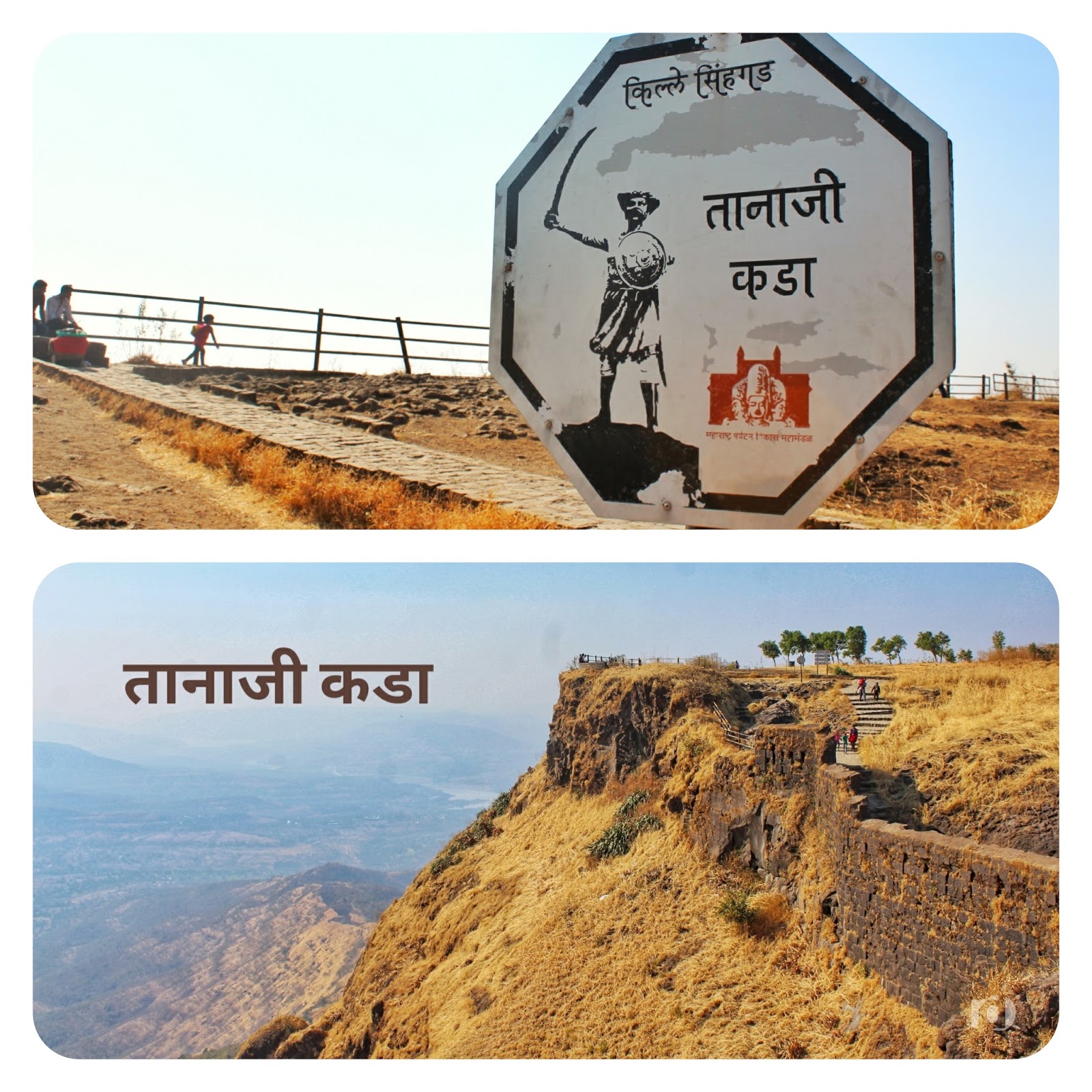 Sinhagad - A lion's tale - Roving Yarn