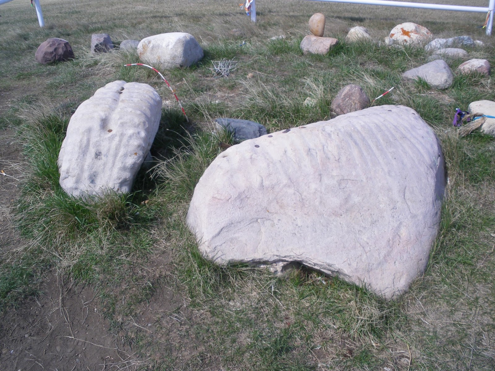 Skinner's Room: Alberta Ribstones