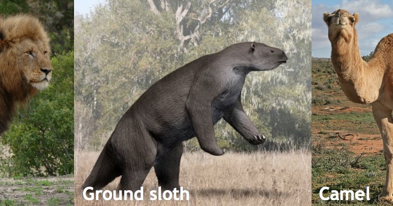 Ground Sloth Size Comparison