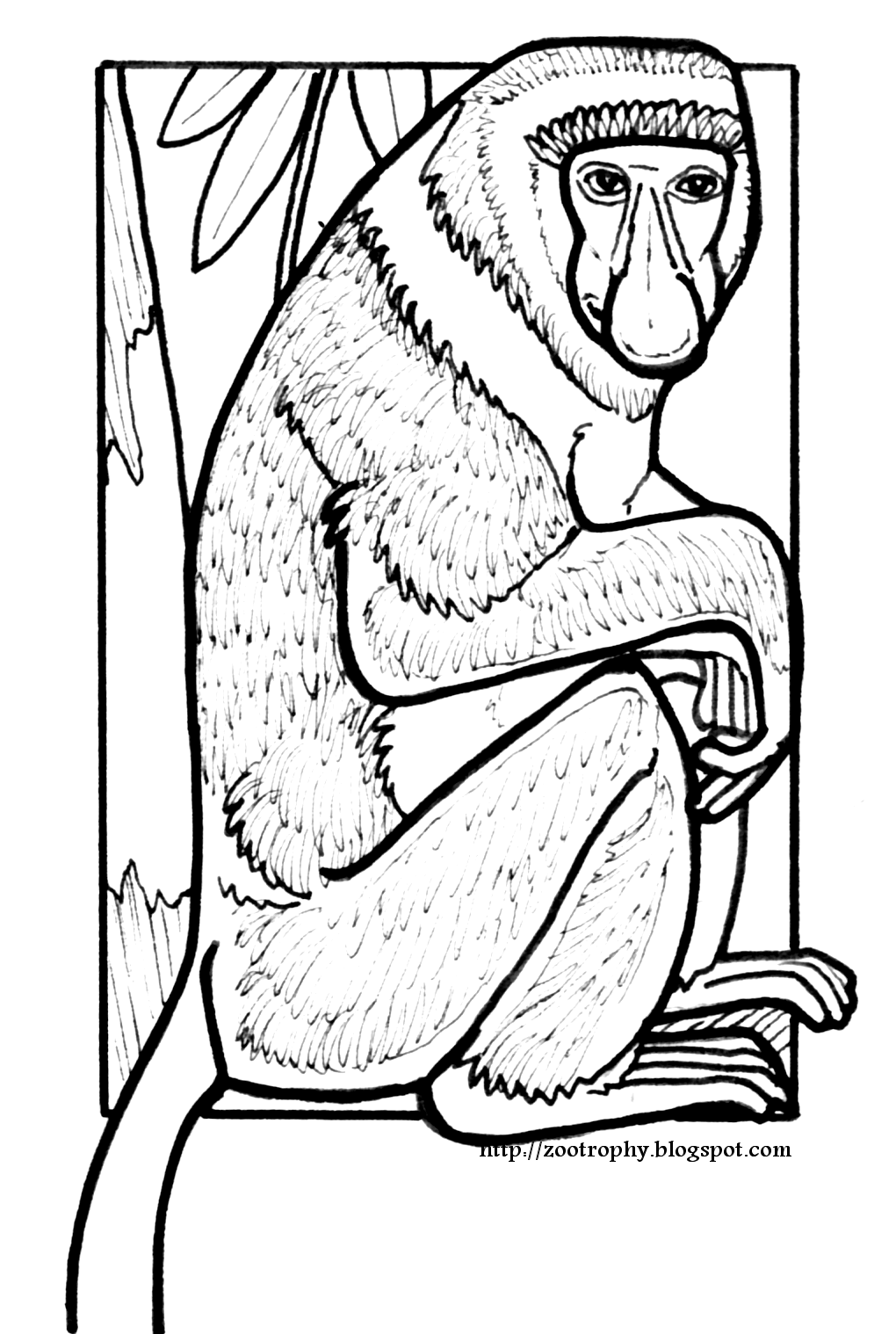 ZooTrophy Animal-a-Day Database: #608: Proboscis Monkey